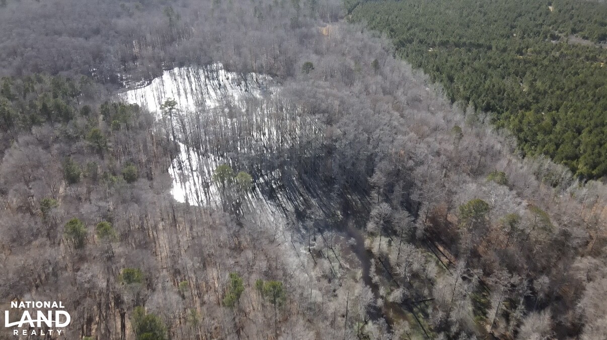Cashie River Hunting Tract Sans Souci in Bertie County, North Carolina ...