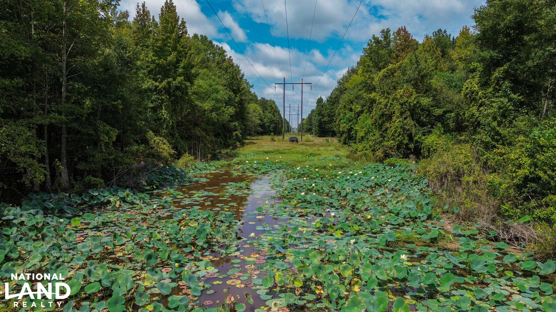 Marion Junction Turn Key Houses Lakes and Timber Tract in Dallas County ...