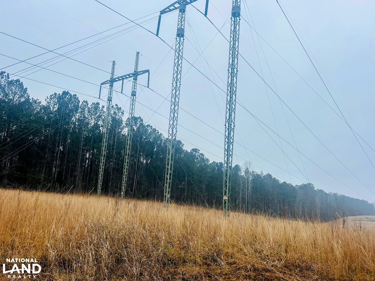 Powerline Ridge Preserve in Baldwin County, Georgia (20 Photos ...