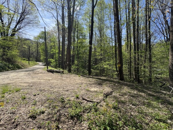 7+ Acre Three parcel creek front package in Haywood County, North ...