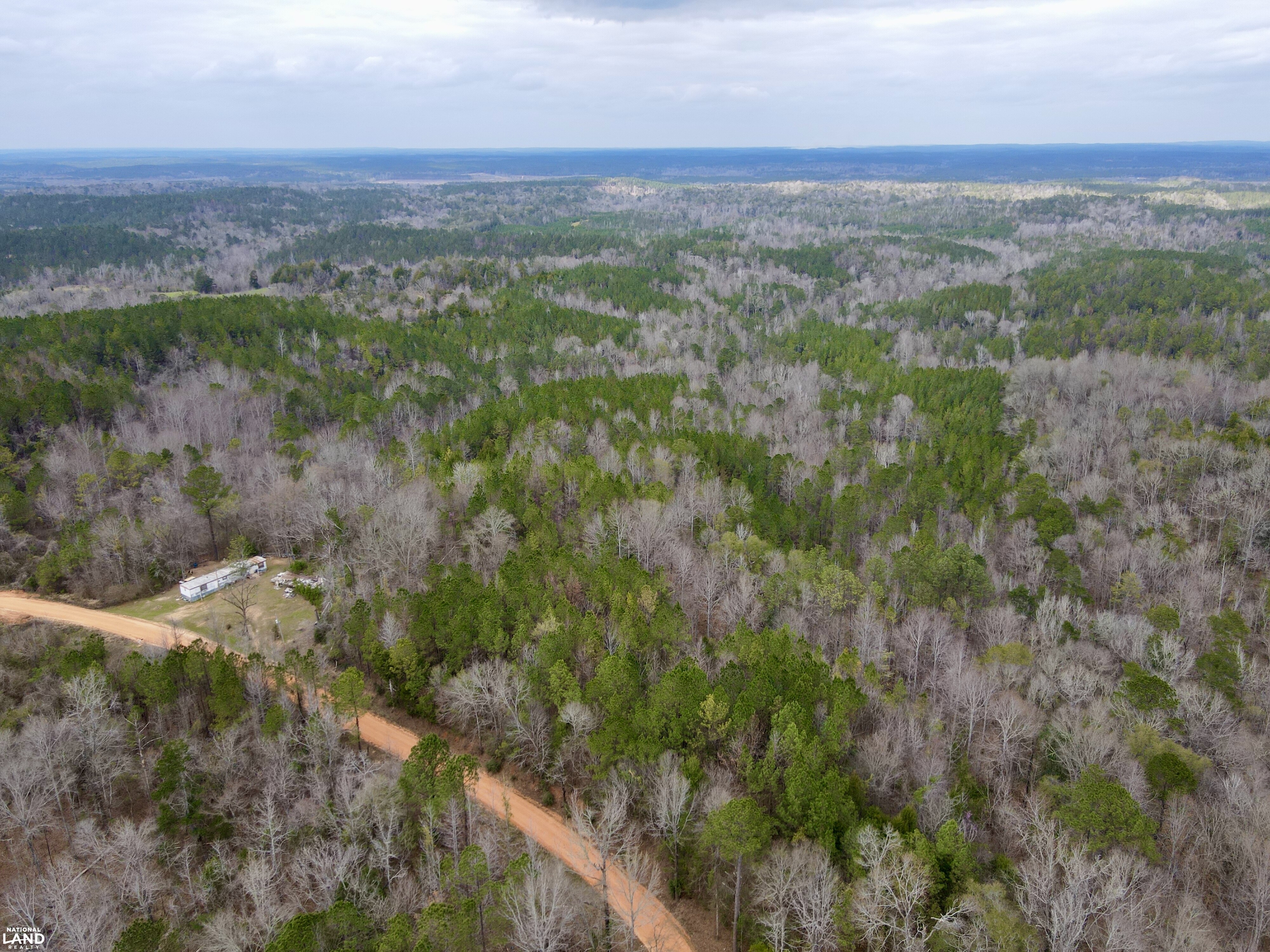 Clarksville Ragtown Road Hunting & Timber Tract in Clarke County ...