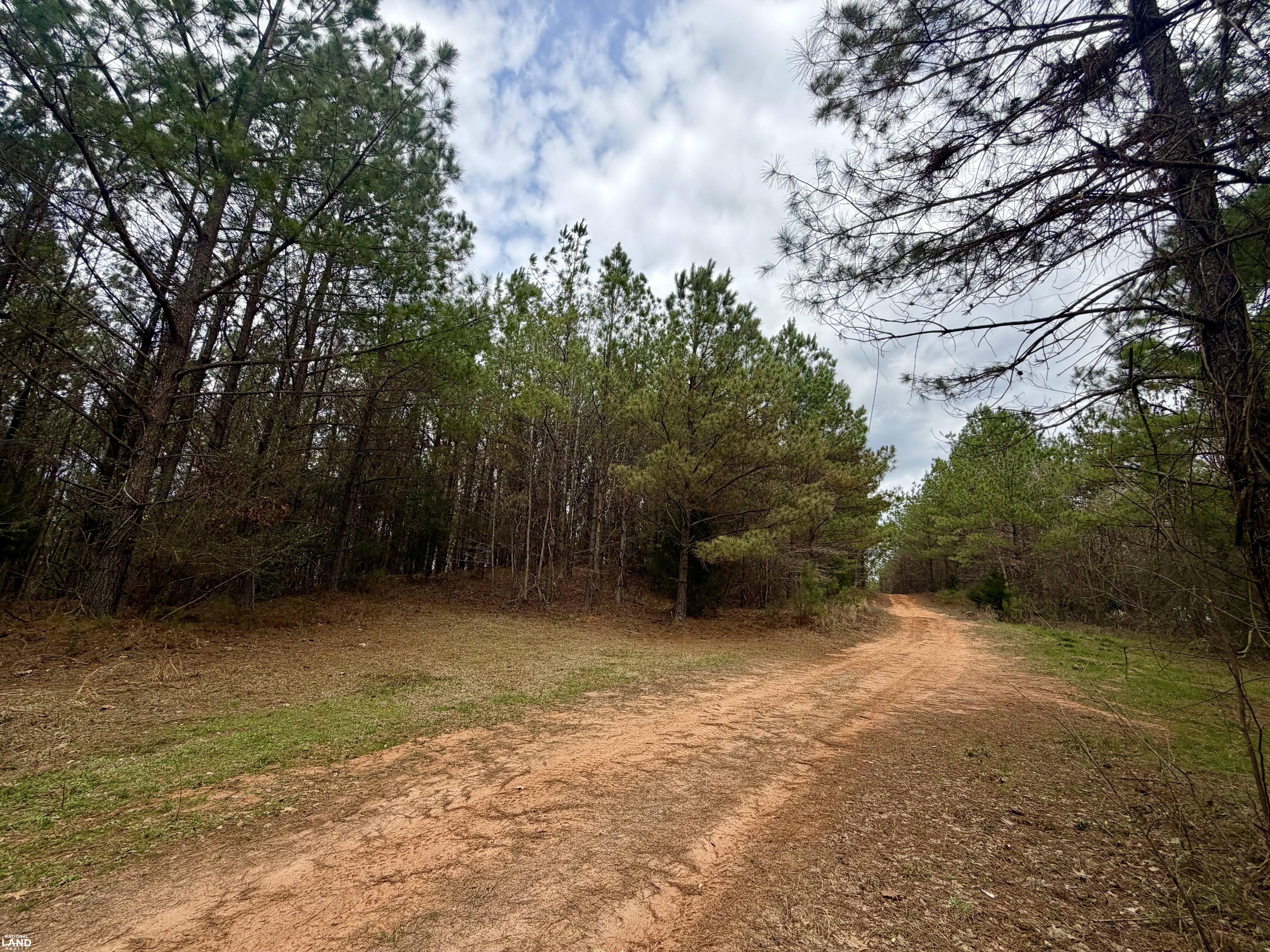 Clarksville Ragtown Road Hunting & Timber Tract in Clarke County ...
