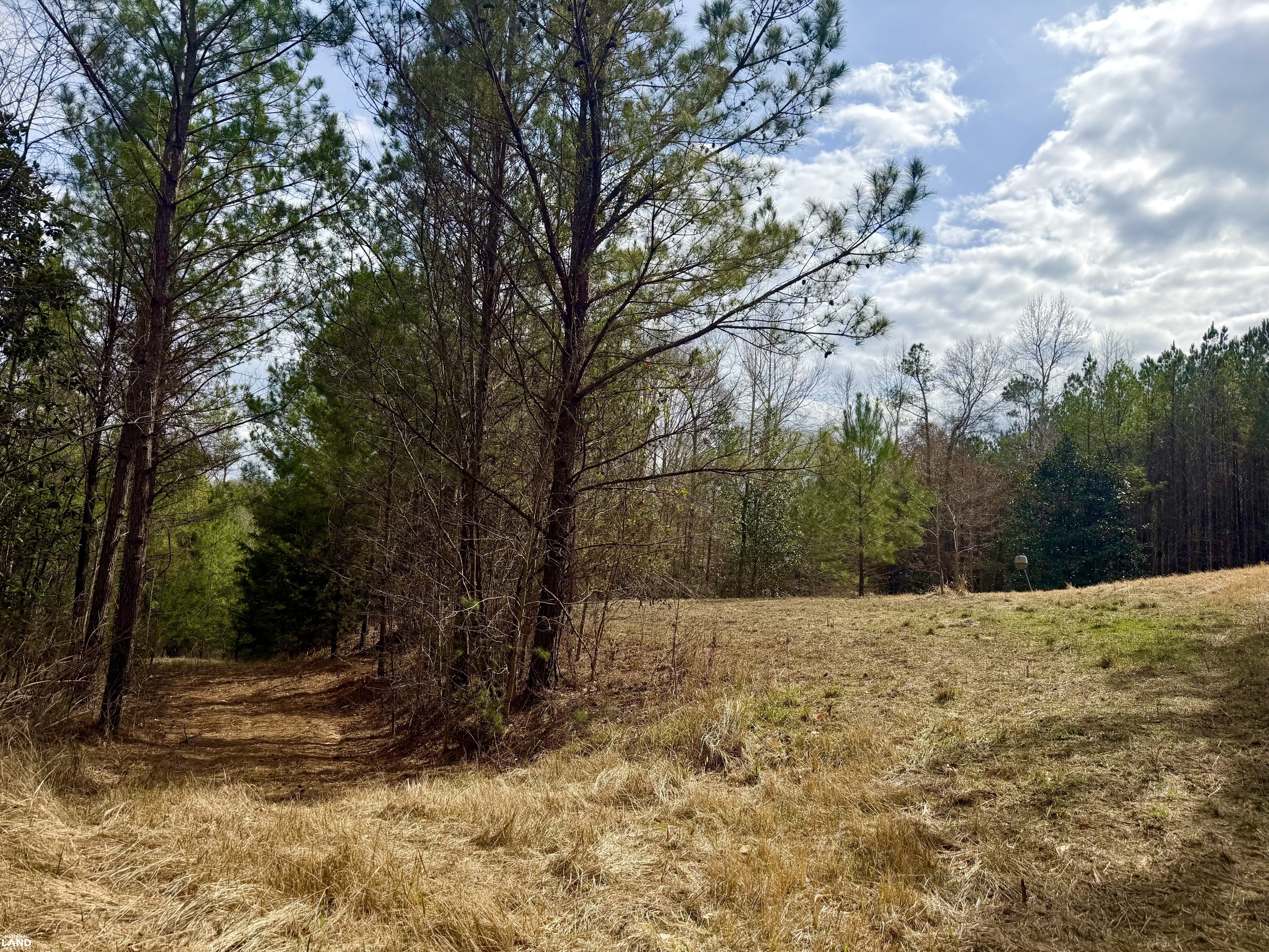 Clarksville Ragtown Road Hunting & Timber Tract in Clarke County ...