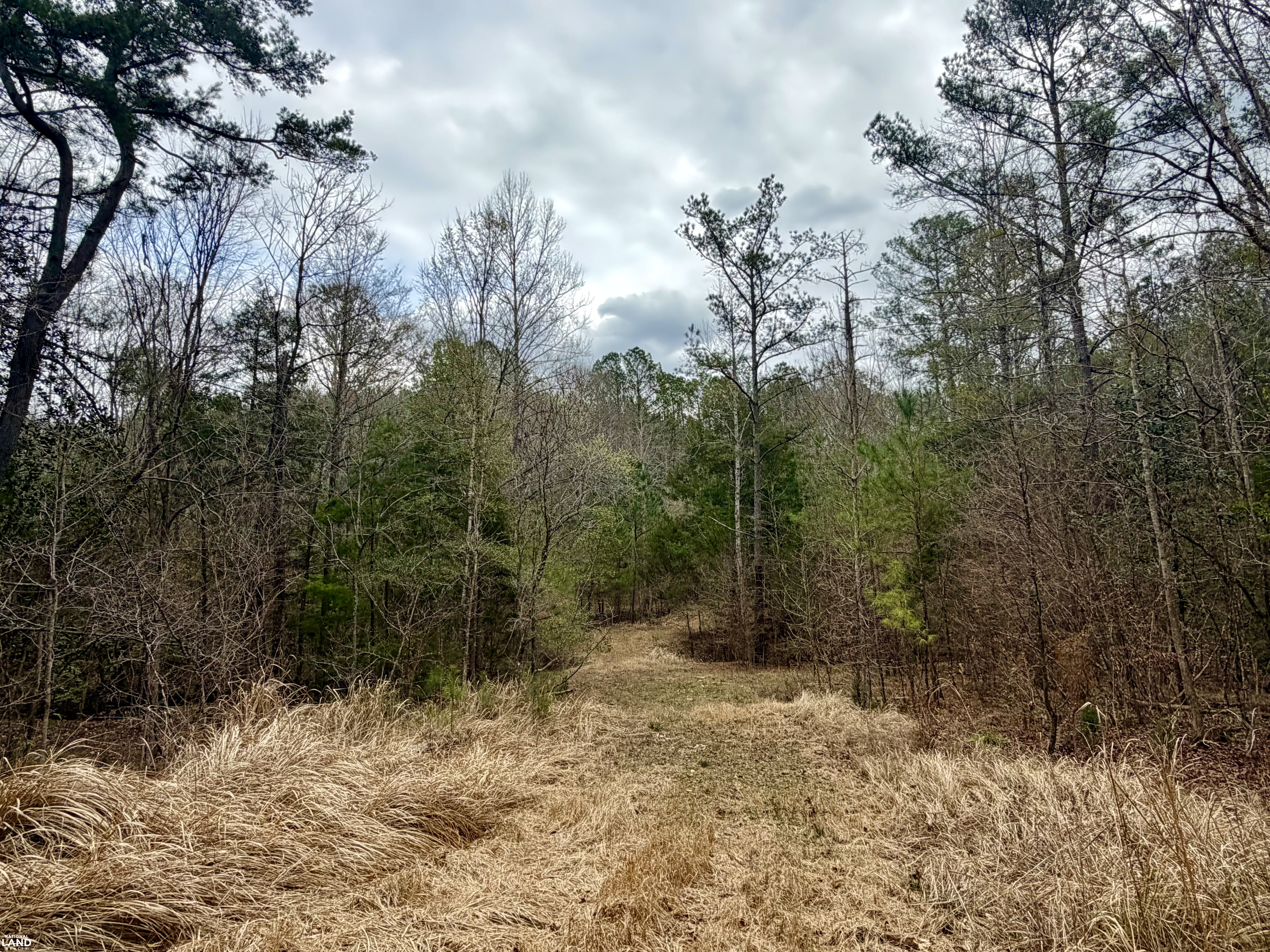 Clarksville Ragtown Road Hunting & Timber Tract in Clarke County ...