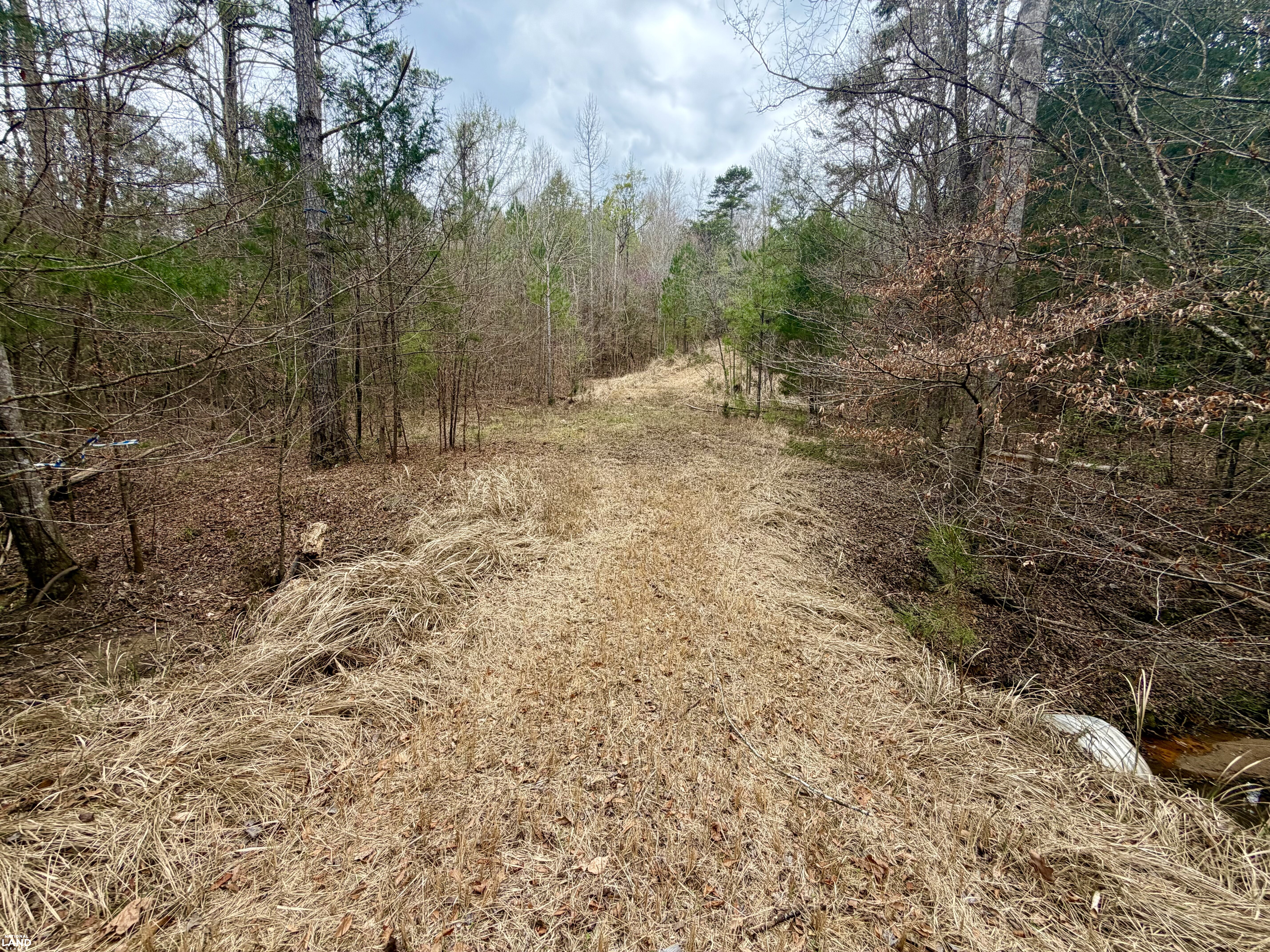 Clarksville Ragtown Road Hunting & Timber Tract in Clarke County ...