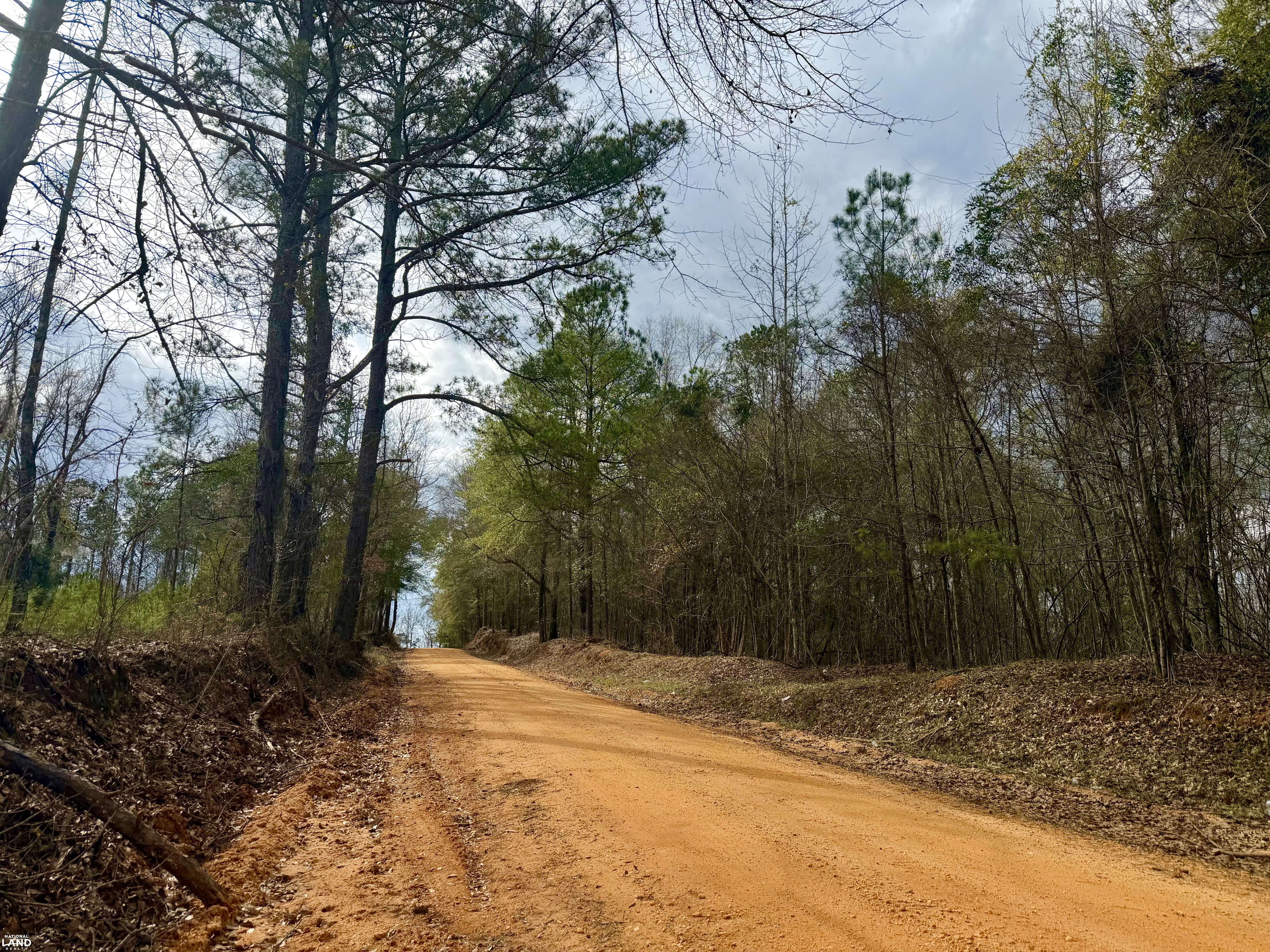Clarksville Ragtown Road Hunting & Timber Tract in Clarke County ...