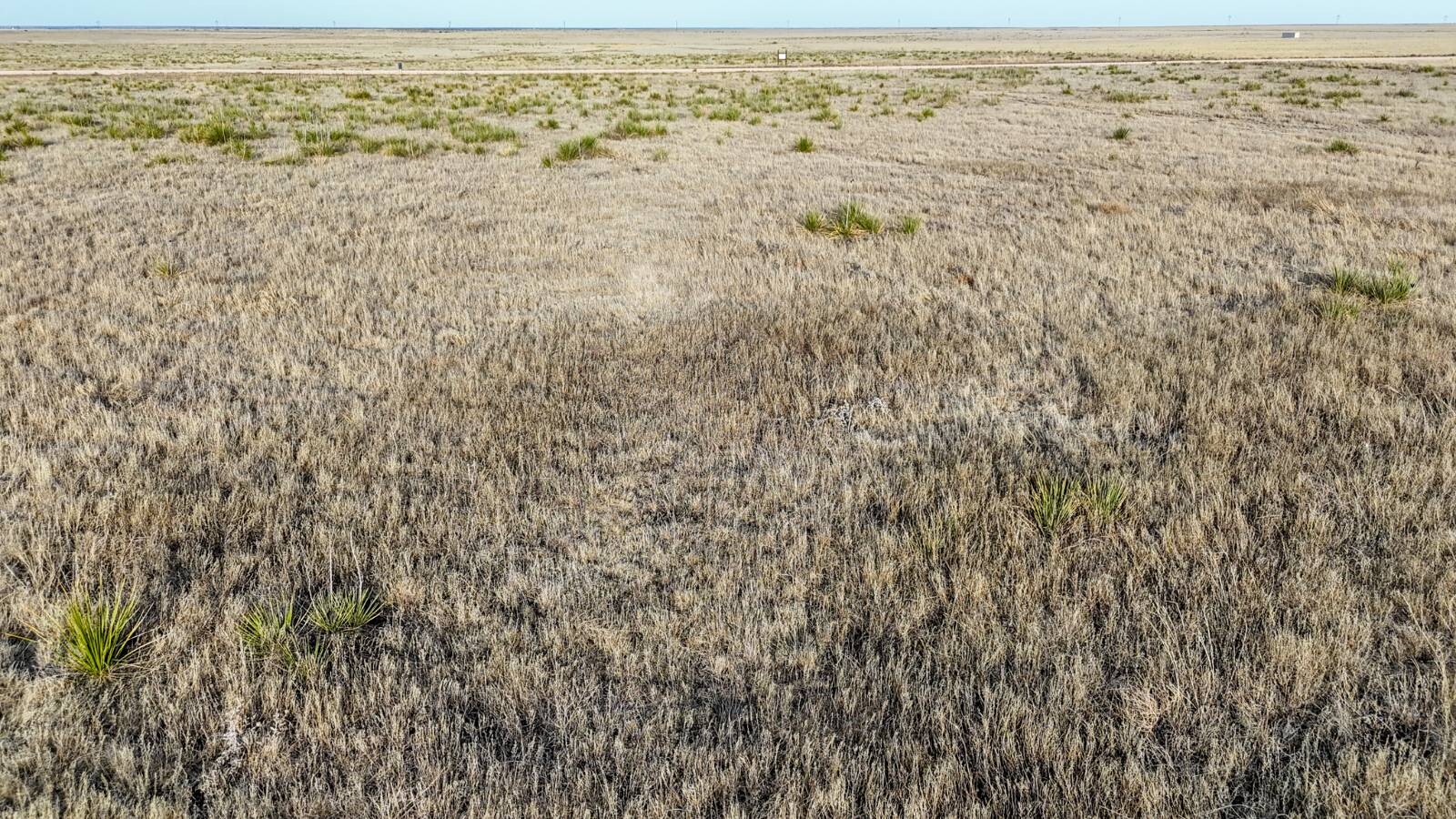 Land for Sale in Randall County, Texas (17 Photos) | National Land Realty
