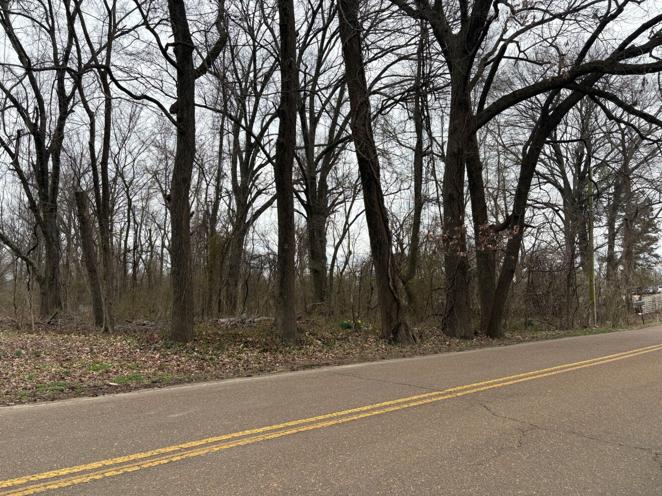 Millington Commercial Small Tract in Shelby County, Tennessee (9 Photos ...